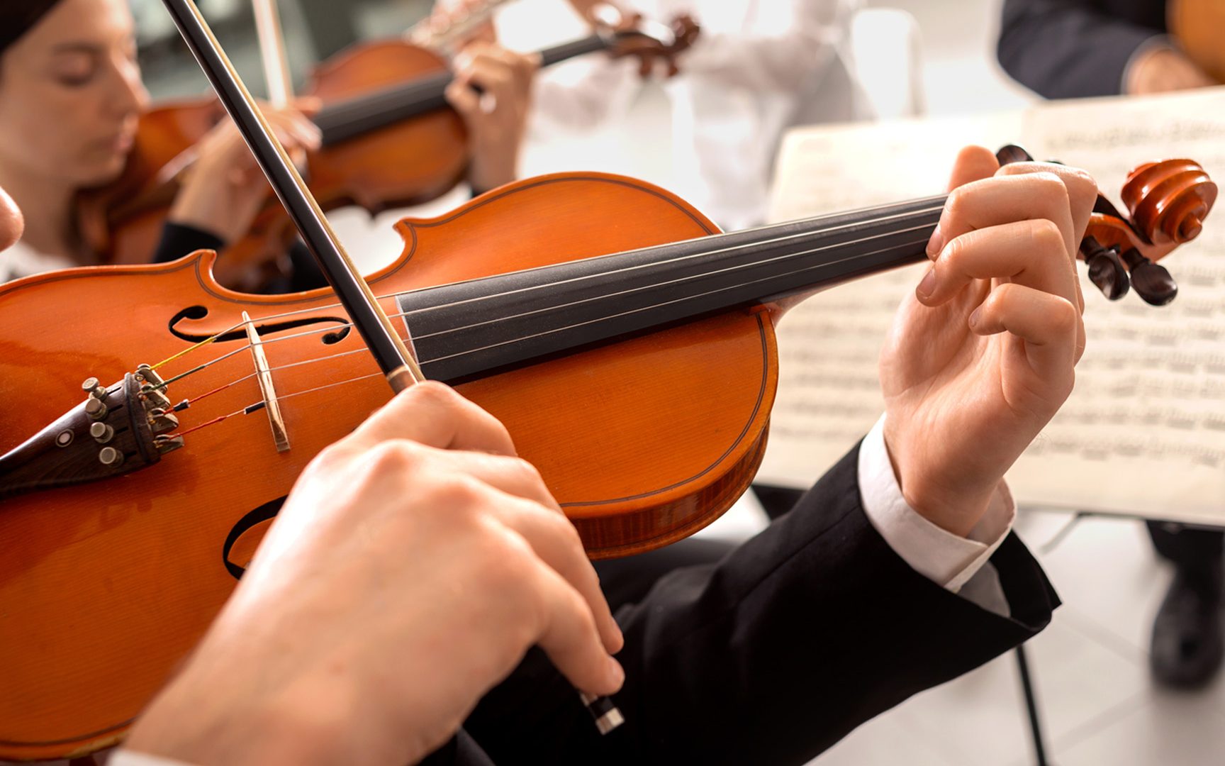 Does Every Song Have a Melody? Exploring the Role of Melodies in Music